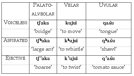 13. Actions of the larynx - Vowels and Consonants, 3rd Edition - Peter ...