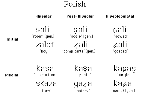 14. Consonants around the world - Vowels and Consonants, 3rd Edition ...